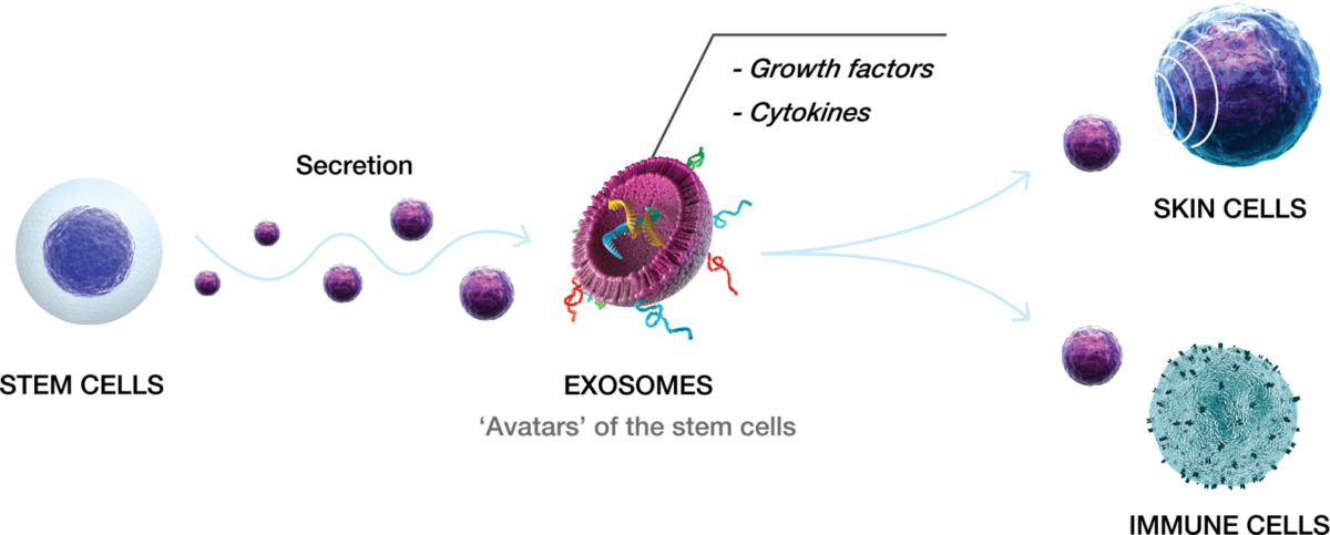 Exosome Therapy | Amaira Med Spa & Surgical